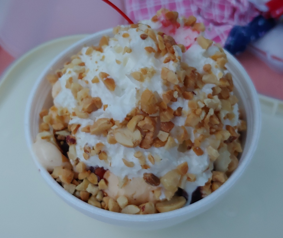 Reminisce Soda Fountain Diner – Jim's Dining Guides